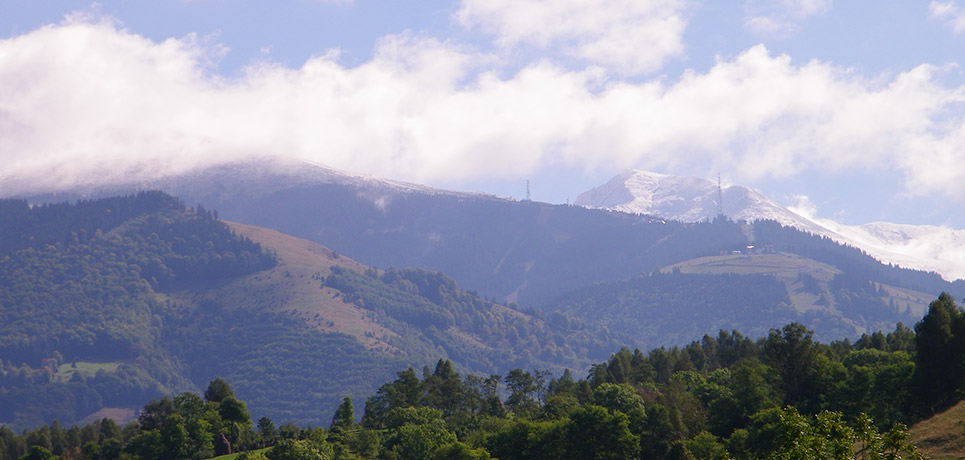 Pensiunea Bujor de Munte | Cazare in statiunea Parang/Petrosani